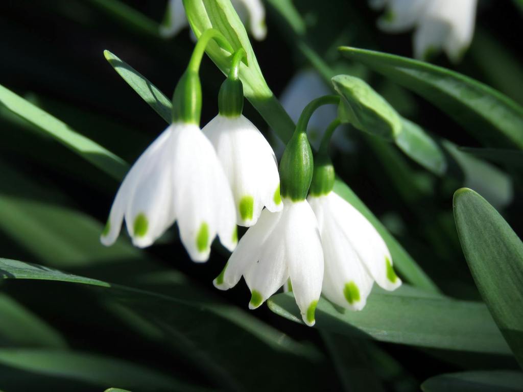 The Westway Centre – A community hub for all aspects of wellbeing and ...